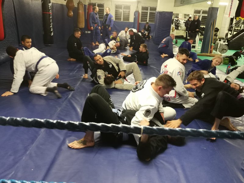 Gallery — Stealth BJJ